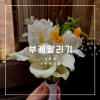 부케 말리기 드라이플라워 실리카겔 활용하기 네이버 블로그